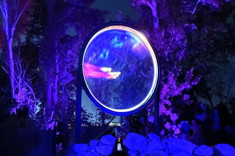 Astra Lumina lets guests walk among the stars at Anakeesta | News ...