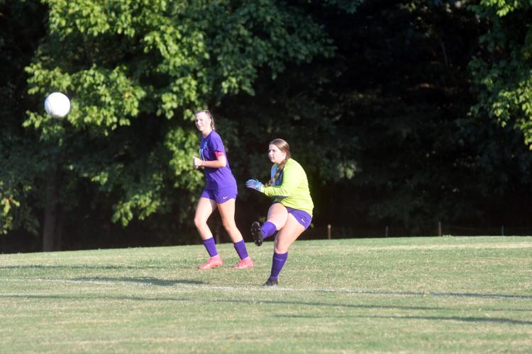 Bearettes steadily improving with new youthful roster | Sports ...