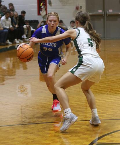 Lady Blue Devils struggle at North Greene | Lafollette ...