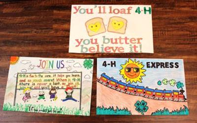 4-H posters headed for state | News | themountainpress.com