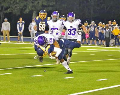 Lions roll over Webb Bell Buckle in final region game | High School ...