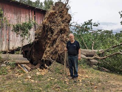 Strong winds sweep through county | News | themountainpress.com