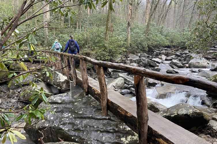 New 'Trails Forever Hikes' program begins in Smokies | News | themountainpress.com