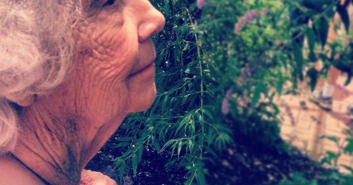 Patricia Jarvis Goode | Obituaries | themountainpress.com