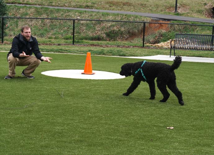 Gatlinburg Mills Park dog park grand opening March 17 | News ...