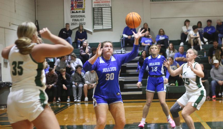 Lady Blue Devils struggle at North Greene | Lafollette ...
