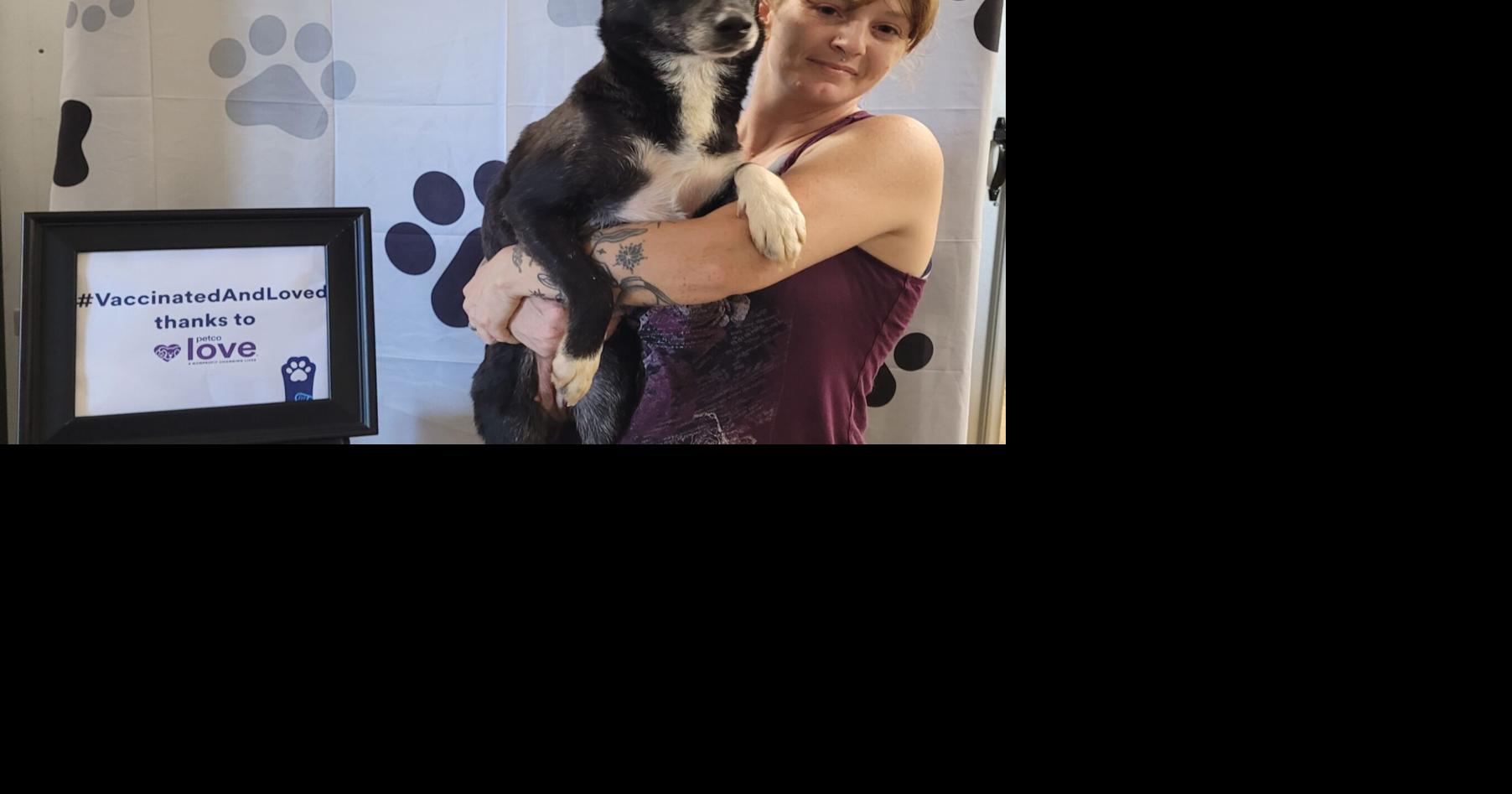 MOCO Mutts Rescue Center hosts free vaccination event | News ...