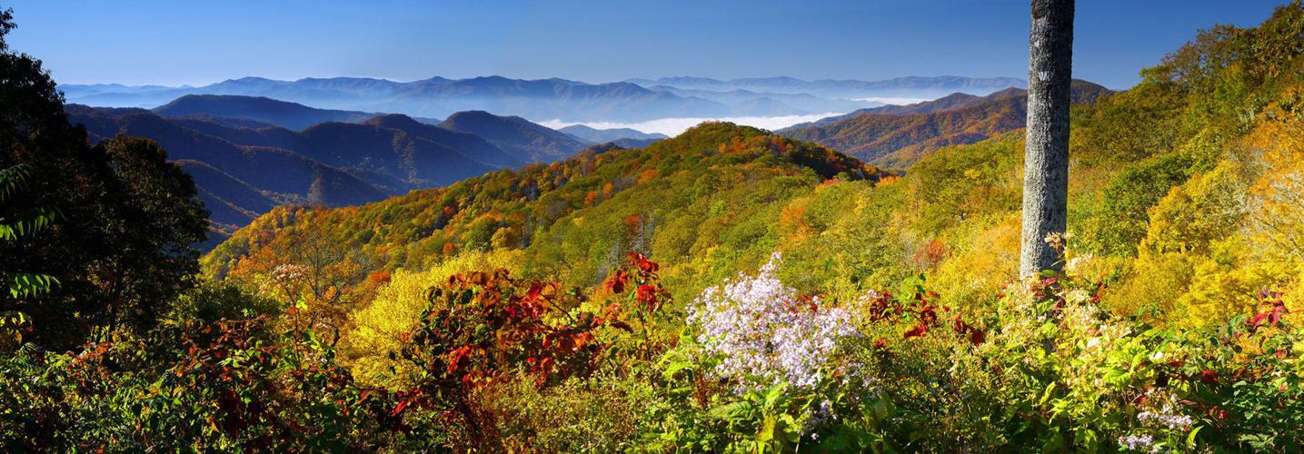 Smokies Life announces 2026 schedule of Branch Out events; Education ...