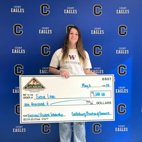 Gatlinburg Chamber Foundation awards traditional scholarships to area ...