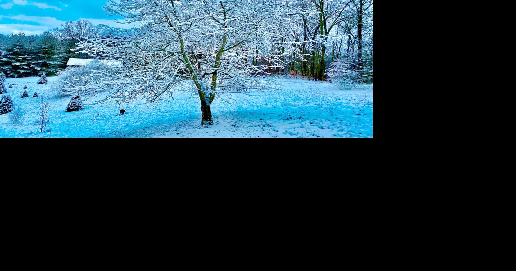 Snow stuff | Opinion | themountainpress.com