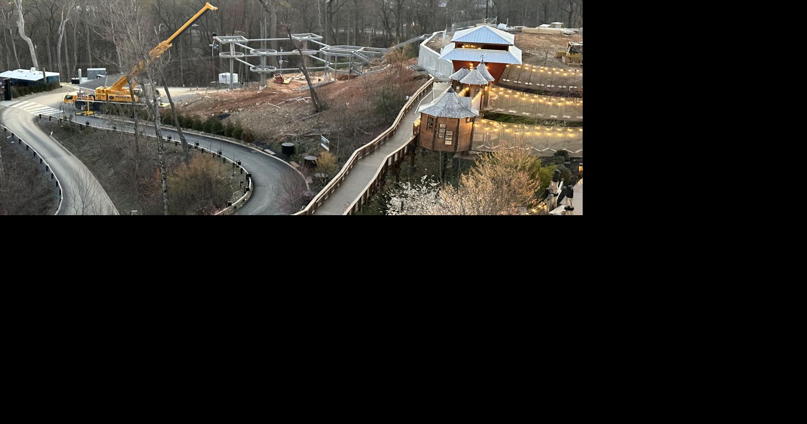 Anakeesta launches new mountain coaster, life-sized birdhouse ...