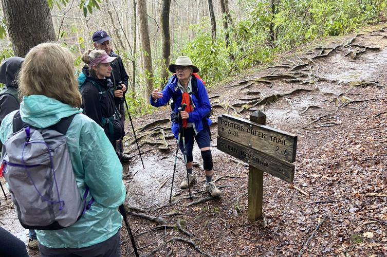 New 'Trails Forever Hikes' program begins in Smokies | Outdoors ...