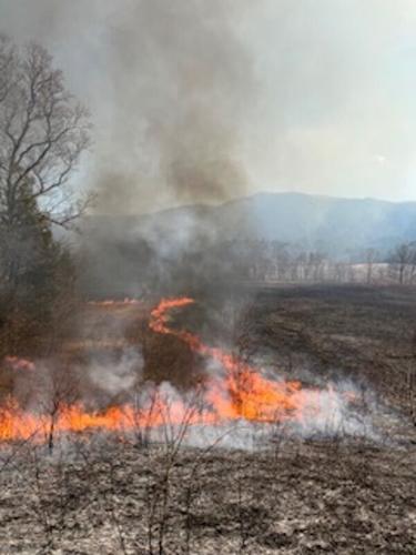 Fire crews continue prescribed fire operations in Cades Cove | News ...
