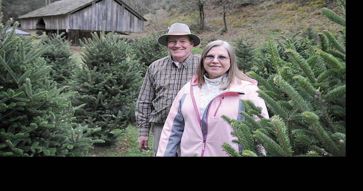 History, nostalgia helps Wilson Glyn tree farm | News ...