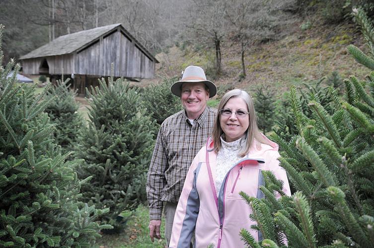 History, nostalgia helps Wilson Glyn tree farm | News ...