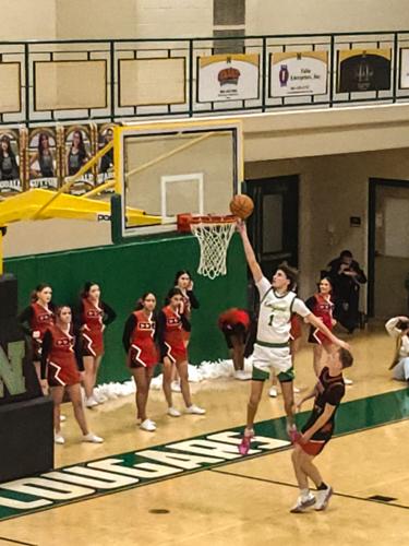 Northview Cougars split double header with Cocke County | Sports ...