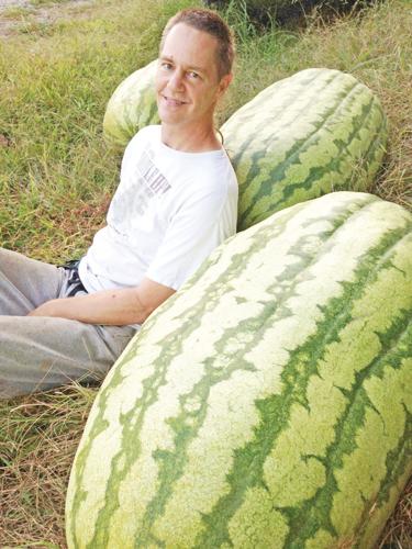Kent grows world record watermelon in Sevierville | News ...