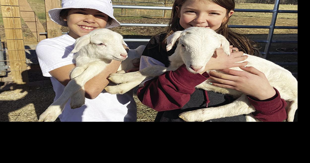 Wears Valley Ranch earns coveted 4-star rating from Charity Navigator ...