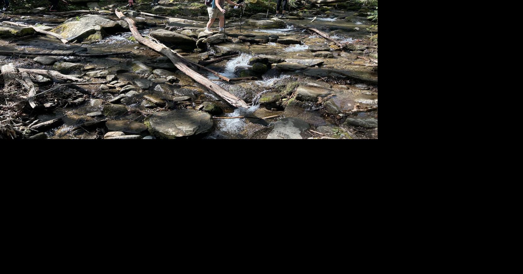 Sevierville Parks & Rec kick off annual spring hikes | News ...