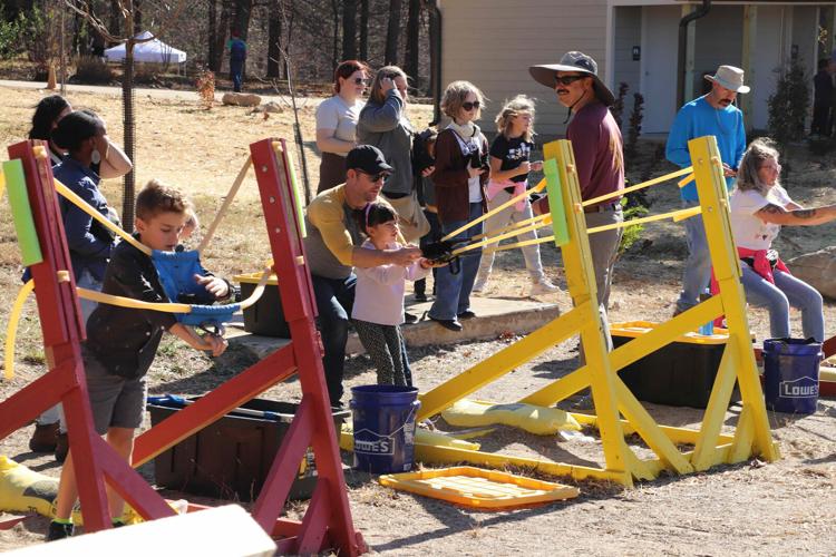 ColorFest returns to Bernheim for first weekend in November | Local ...