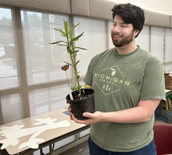 Nature lovers learn to give butterflies safe sanctuary | Local News ...