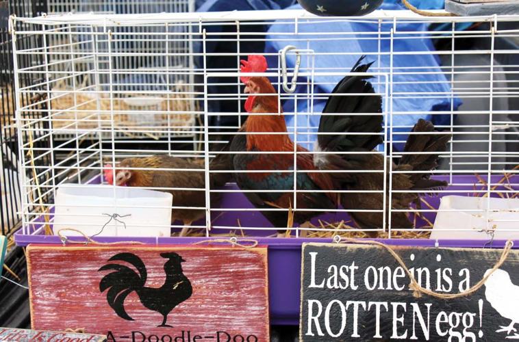 Swapping chickens and good company | Local News | thenewsenterprise.com