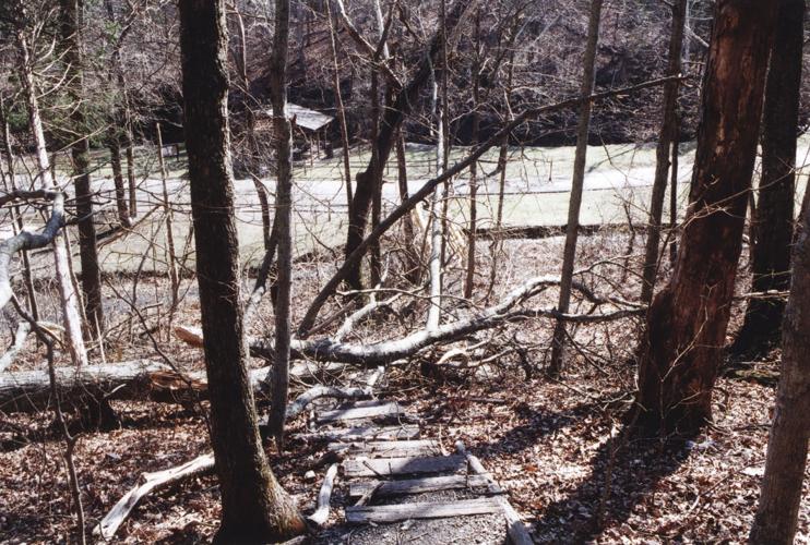 Saunders Springs on the path to recovery | News | thenewsenterprise.com