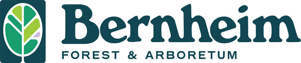Many fun things to do at Bernheim Forest during March | Local News ...