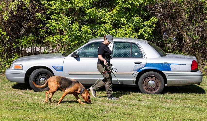 Search and rescue groups train together for favorable outcomes | Local ...
