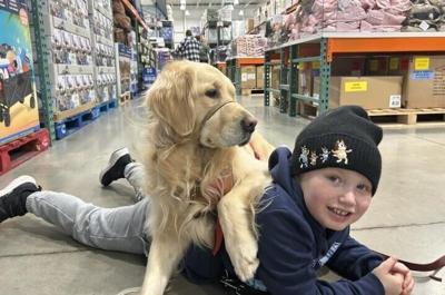 From campus to companion: UK student prepares service dog for life ...