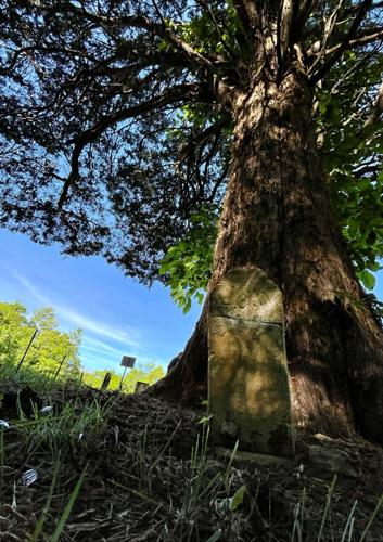 Travelers unearth forgotten histories during Fort Knox cemetery ...