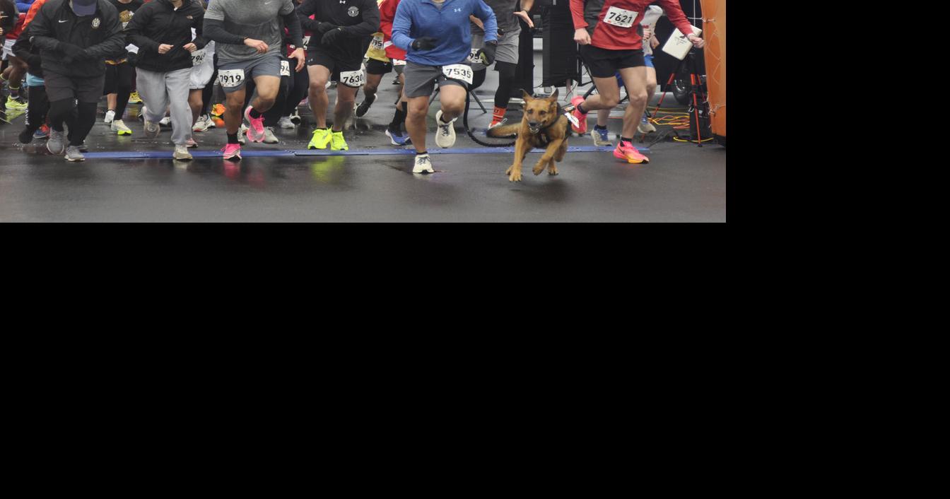 Cupid Run fundraiser hits ground running to support youth | Local News ...