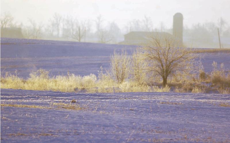 Photos: Monday morning views | News | thenewsenterprise.com