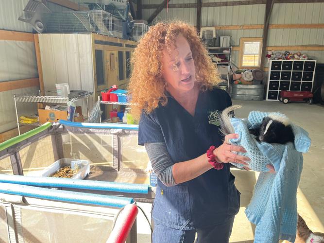 Nolin River Wildlife expands operations | Local News ...