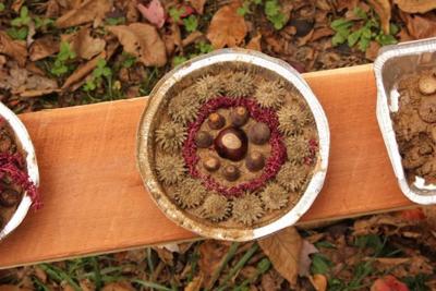 Celebrate fall at Bernheim with ColorFest and other activities | Local ...