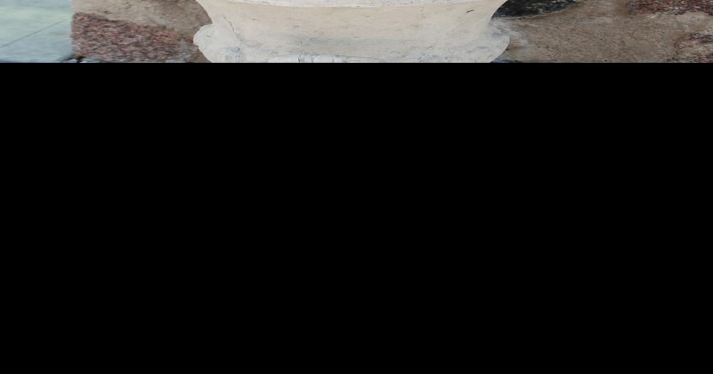 Forcing spring flowering bulbs into bloom | Botany | thenewsenterprise.com