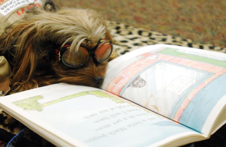 Puppy Tales gives young readers confidence | Local News ...