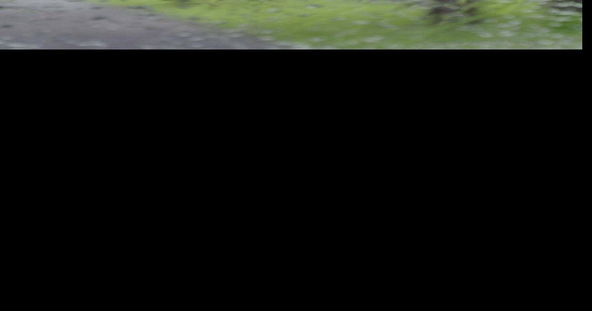 Rain keeps falling | Local News | thenewsenterprise.com