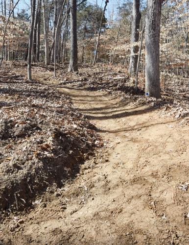 Bikers, runners to put skills to the test at Saunders Springs event ...