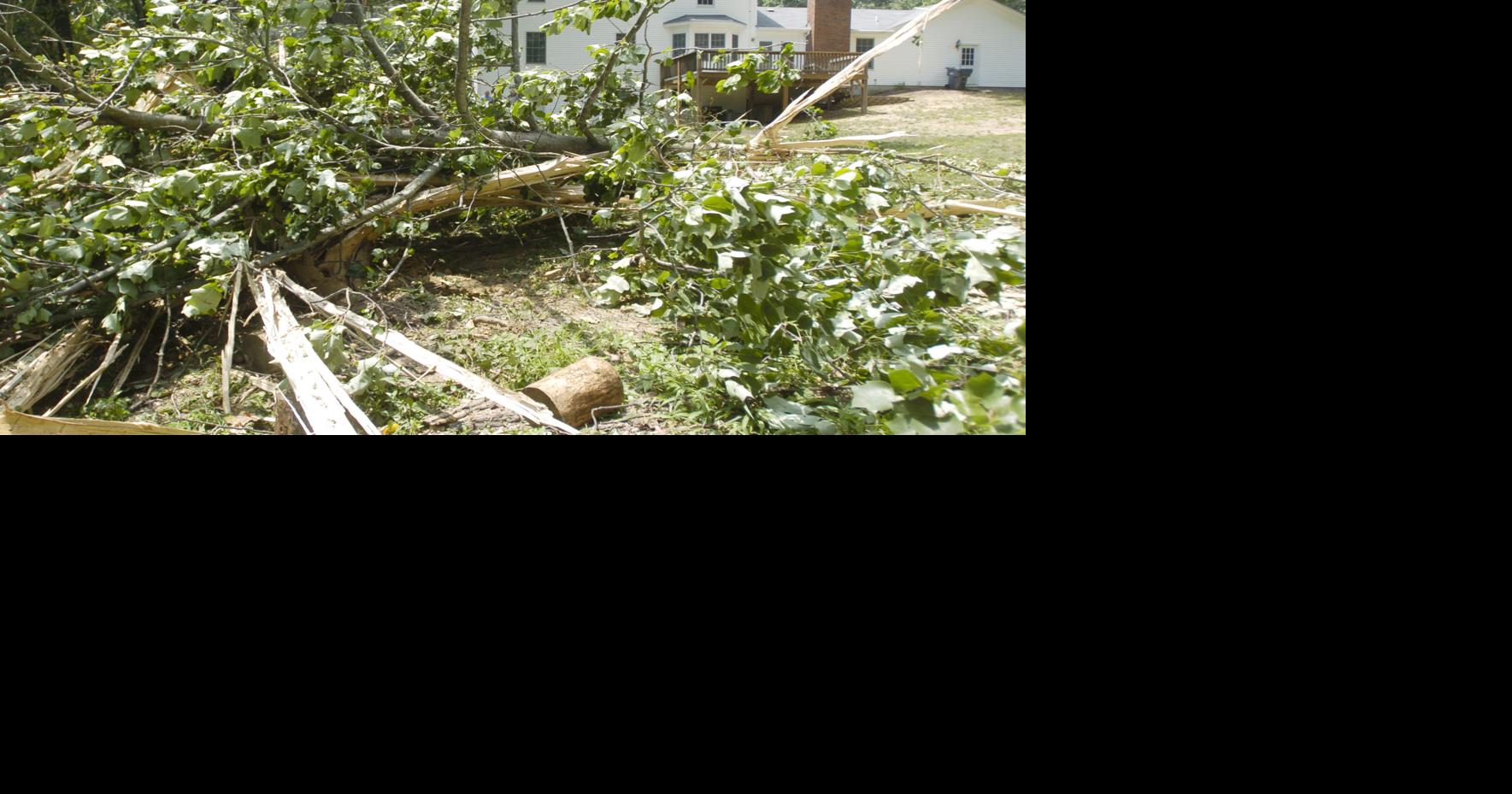 Lightning strike reduces poplar tree to splinters | Local News ...