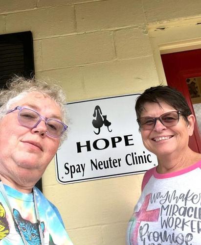 Two women on mission to reduce stray cat population | Wednesday's Woman ...