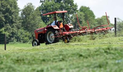 Photo: Hay day | Local News | thenewsenterprise.com