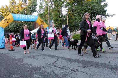 Walk with your dog for breast cancer awareness | Local News ...