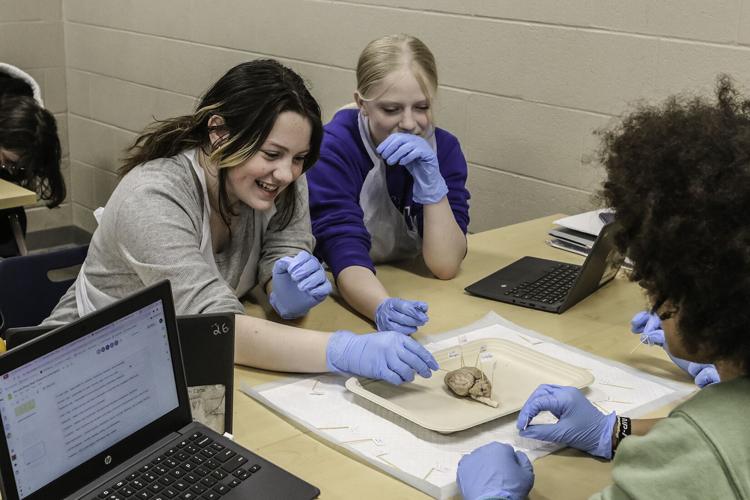 Forensic class teaching East Hardin students to think outside the box ...