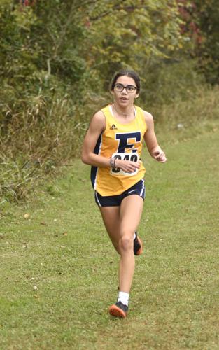 E’town’s Johnson takes Girls’ Runner, Newcomer All-Area honors | Sports ...