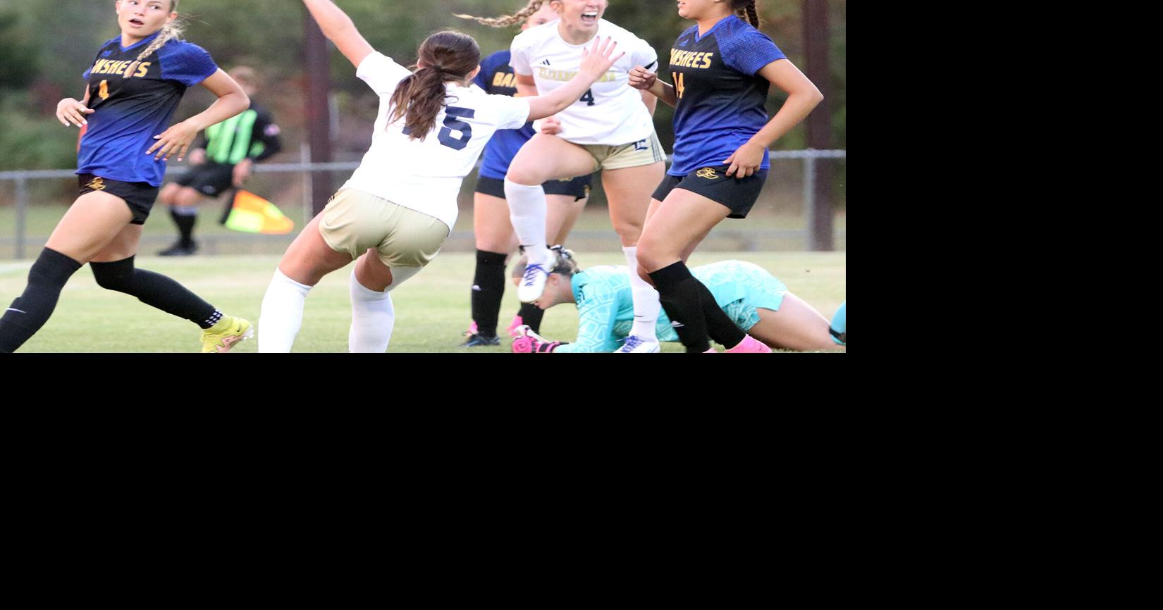 Defending champion E'town falls in region final | High School Sports ...