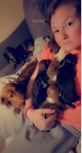 Atcher provides rehabilitation from the inside out | Wednesday's Woman | thenewsenterprise.com