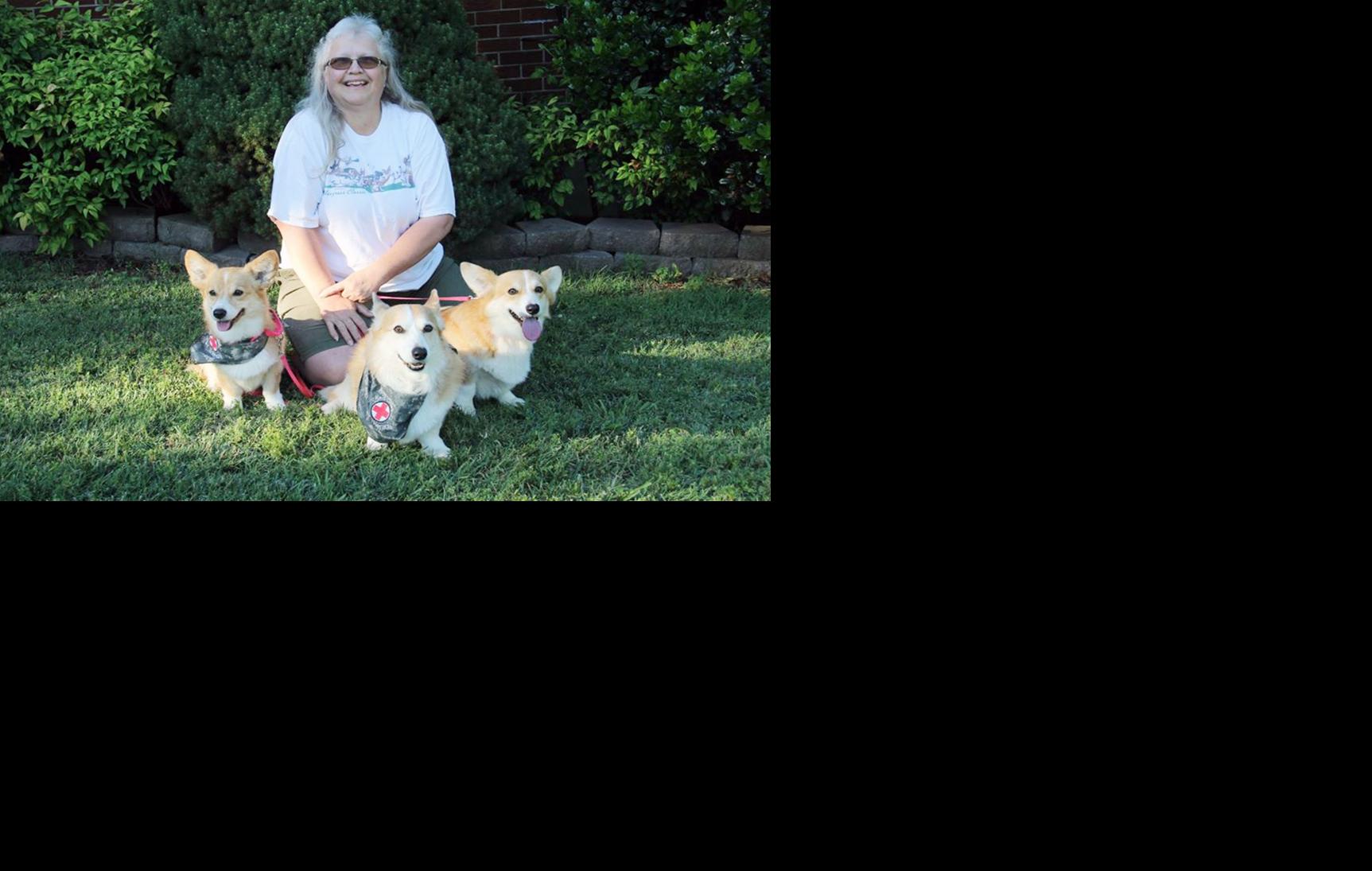 Stuckey uses Corgis to give back | Wednesday's Woman ...