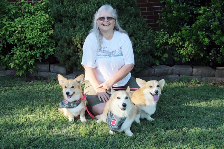 Stuckey uses Corgis to give back | Wednesday's Woman ...