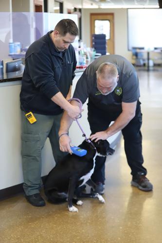 Hardin County Animal Care And Control Photos